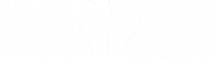 White-Tree-Transparent-background | New Story Media